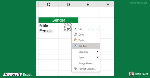 How to Insert Checkbox in Excel | Rath Point